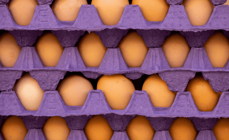 Choline in Prenatal Vitamins: Essential for Pregnancy Health | Link ...